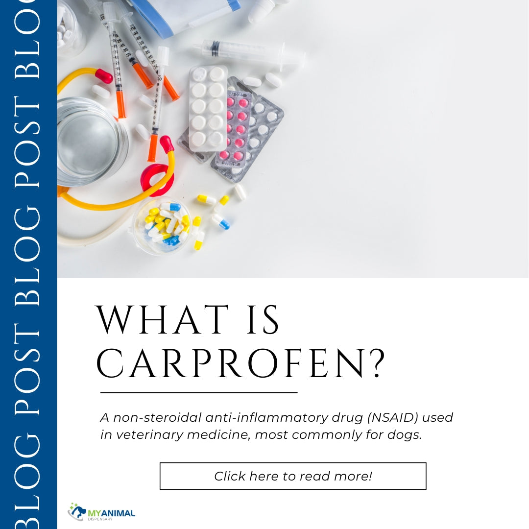What is Carprofen? — My Animal Dispensary