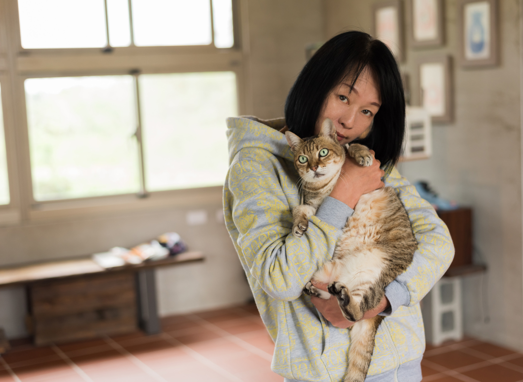 How to Handle a Cat Properly — My Animal Dispensary