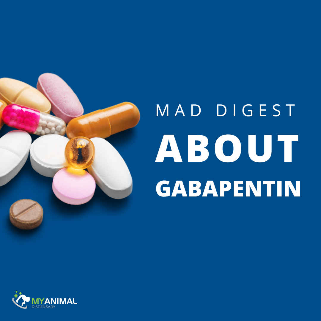 What You Need to Know About Gabapentin — My Animal Dispensary