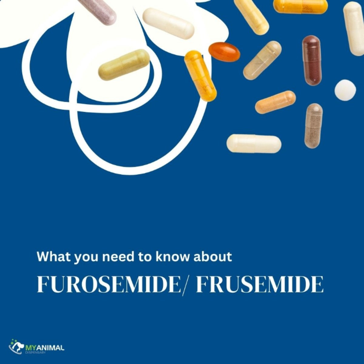 What You Need to Know About Furosemide/Frusemide — My Animal Dispensary
