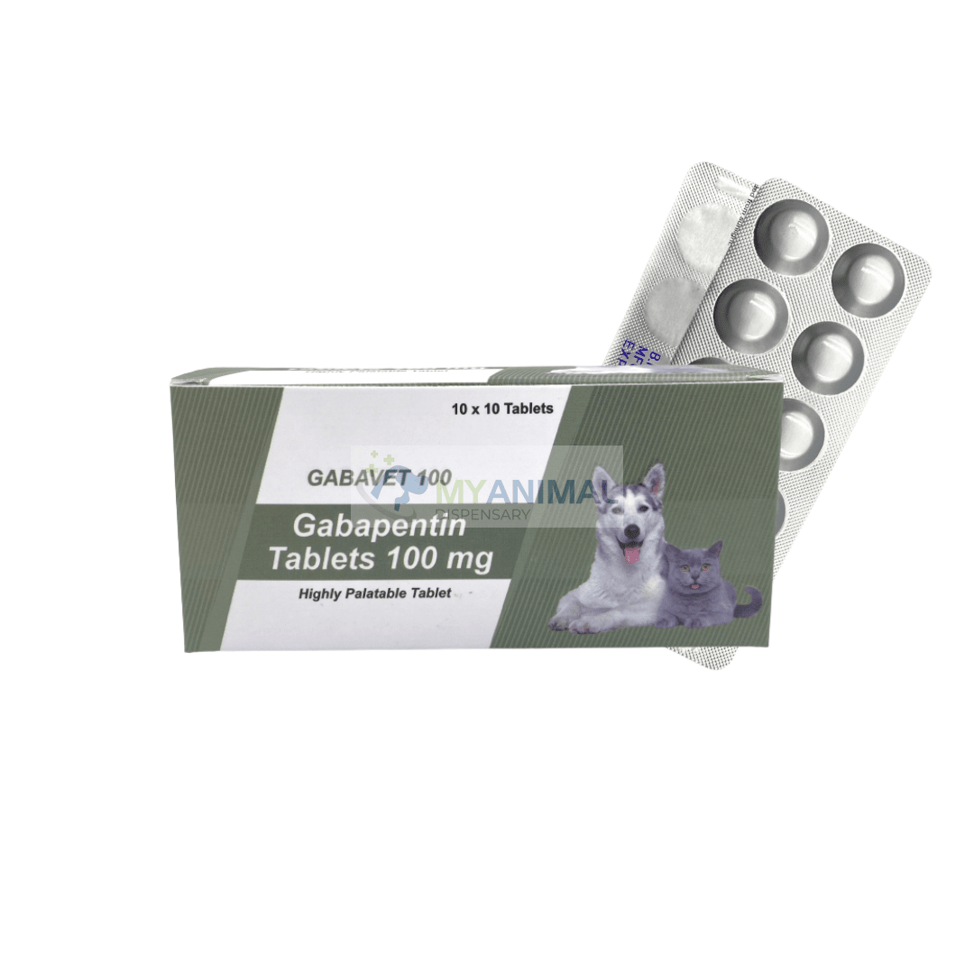 Gabapentin Palatable Tablet 100mg — My Animal Dispensary