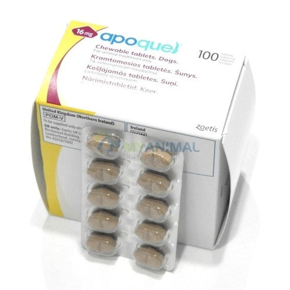 Apoquel Dermatitis Chewable Allergy Itch Tablet (16mg) — My Animal ...