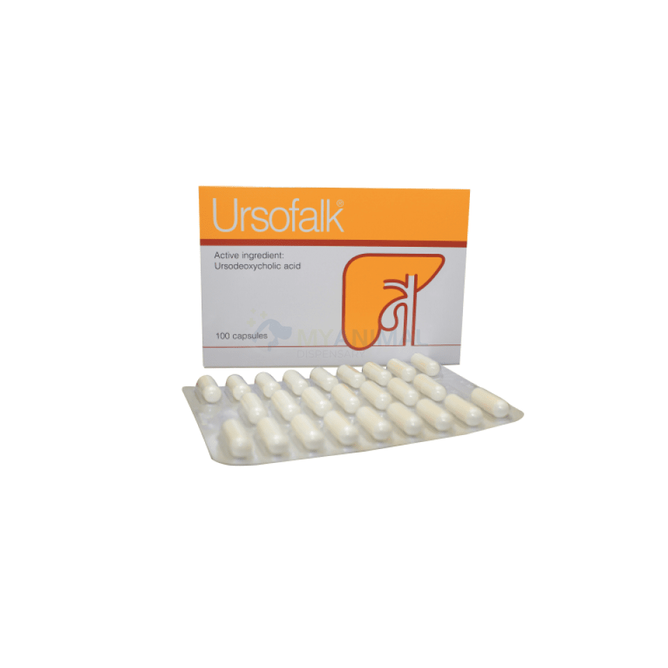 Ursofalk 250mg Capsule — My Animal Dispensary