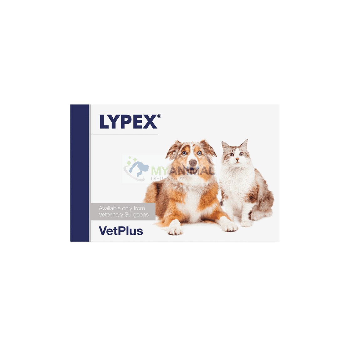 VetPlus LYPEX ® Pancreatic Supplement 60 Capsules for Dogs Cats — My ...