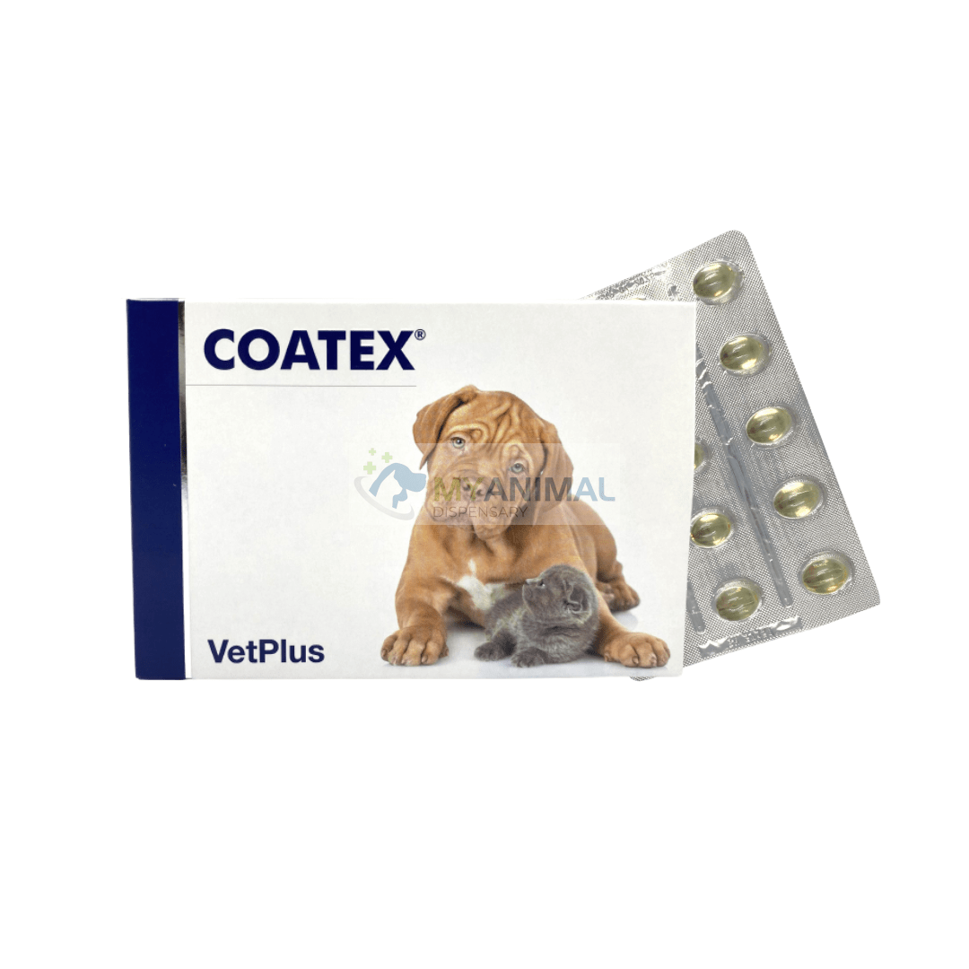 VetPlus COATEX ® Skin and Coat Supplement for Dogs and Cats — My Animal ...