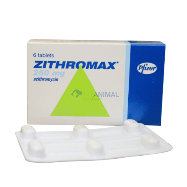 Zithromax Tablet 250mg — My Animal Dispensary