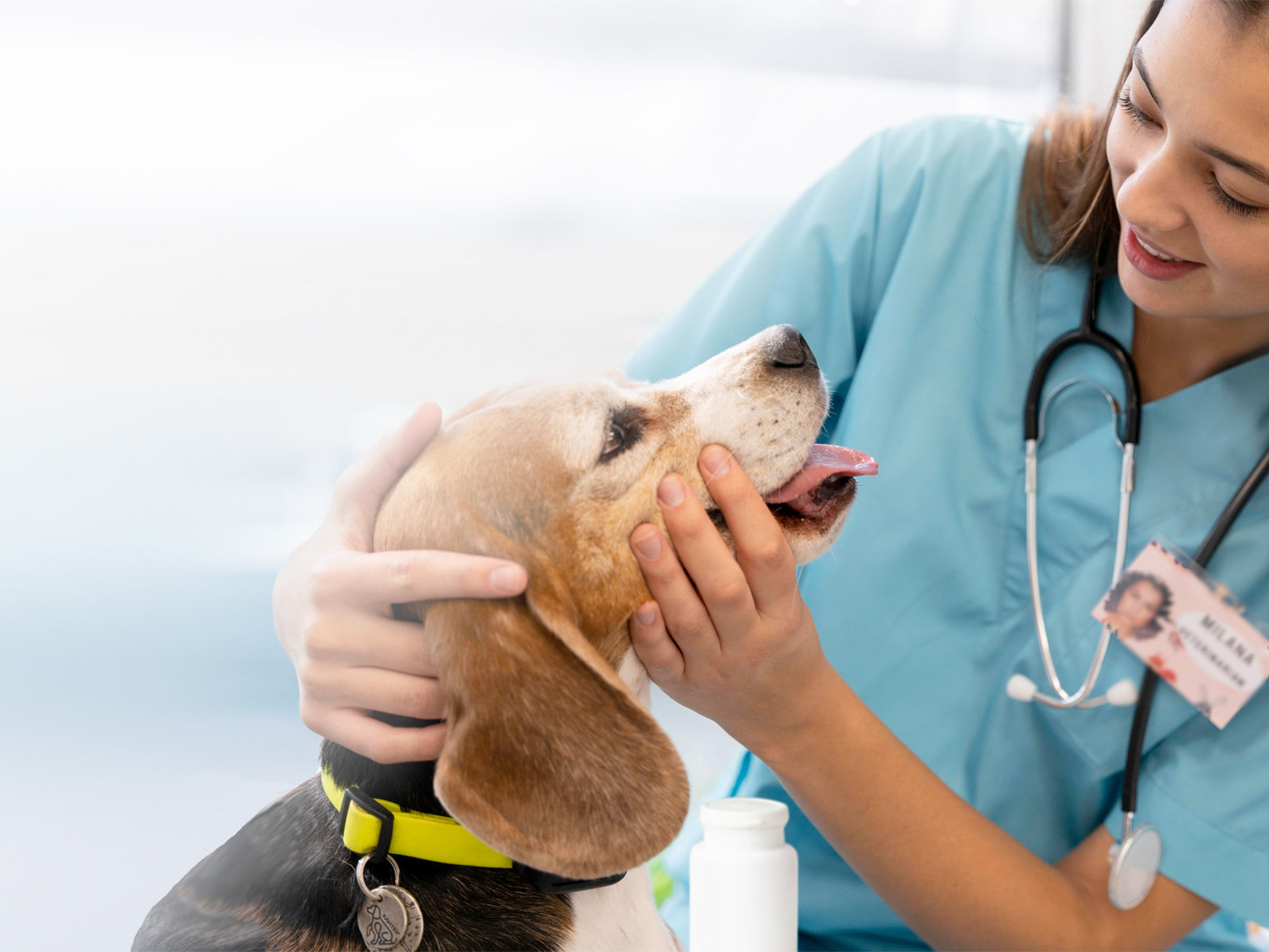 My Animal Dispensary | Online Pet Dispensary | SG Pet Pharmacy