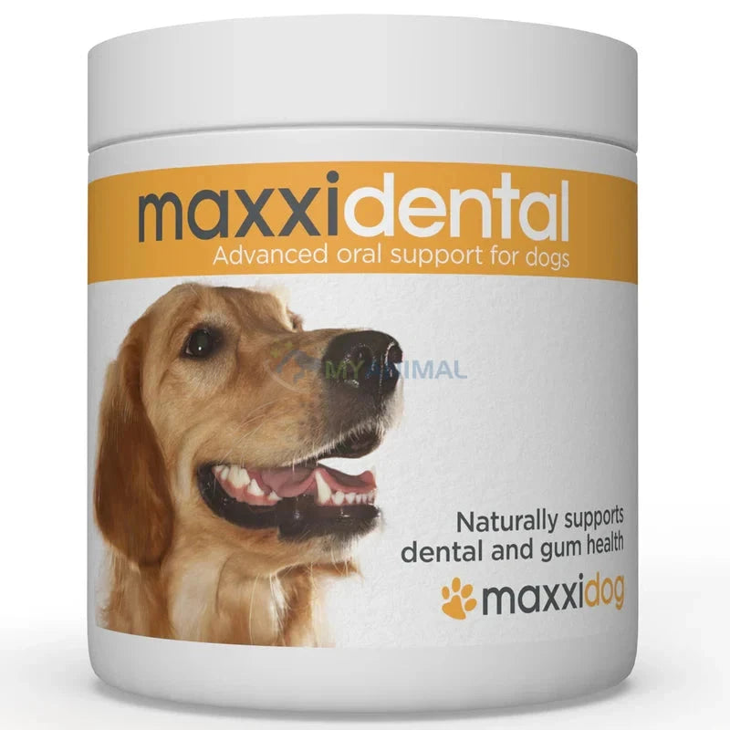 Maxxipaws® Maxxidental Dental Supplement for Dogs (140g) — My Animal ...