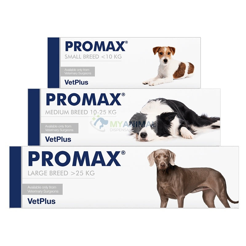 VetPlus PROMAX® Gastrointestinal Health Supplement for Dogs and Cats ...