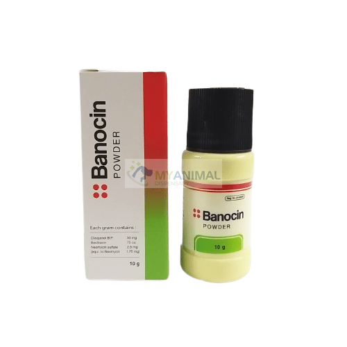 Banocin Antibiotic Powder 10g — My Animal Dispensary