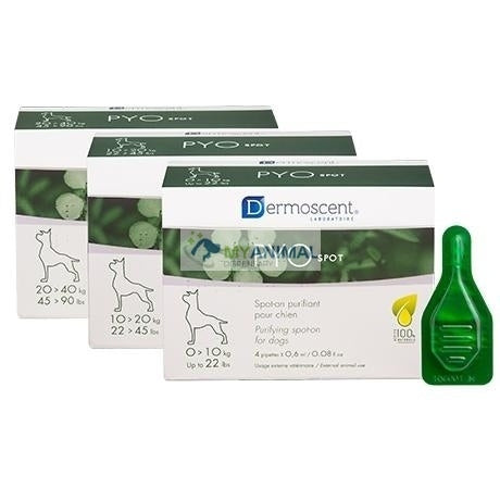 Dermoscent PYOspot® On Skin Restore for Dogs — My Animal Dispensary
