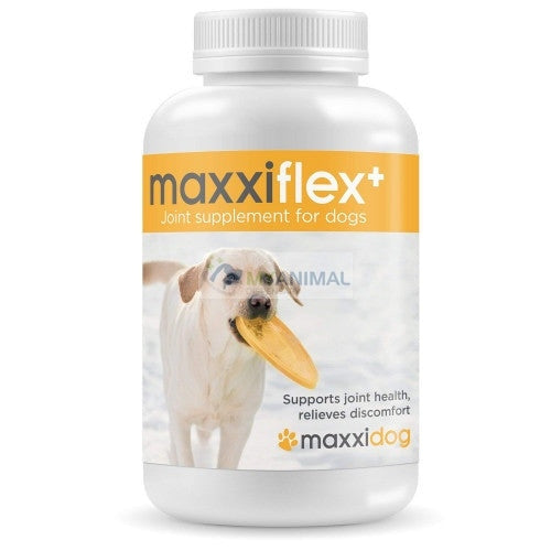MaxxiFlex + Joint Supplement for Dogs (120s) — My Animal Dispensary